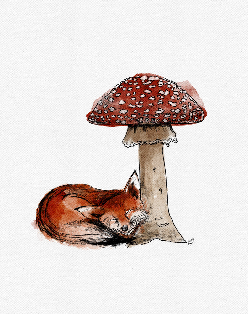 Safety 2.0 – Clark & Bell