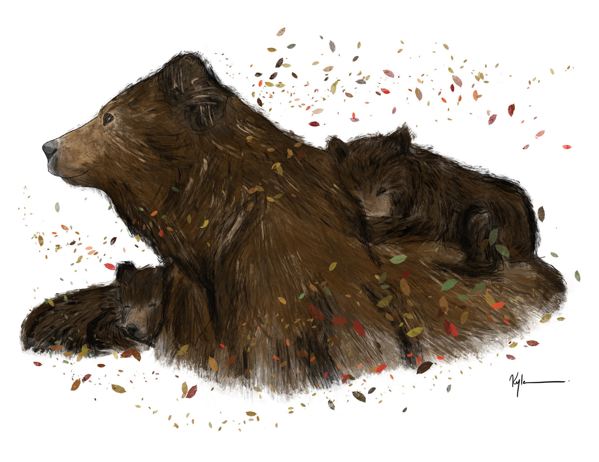 Sanctuary – Clark & Bell