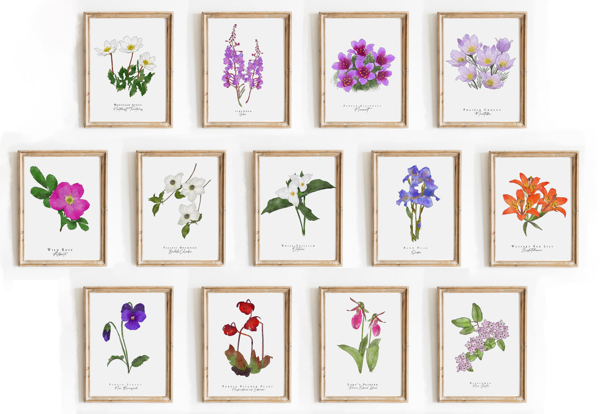 Ontario – Clark & Bell